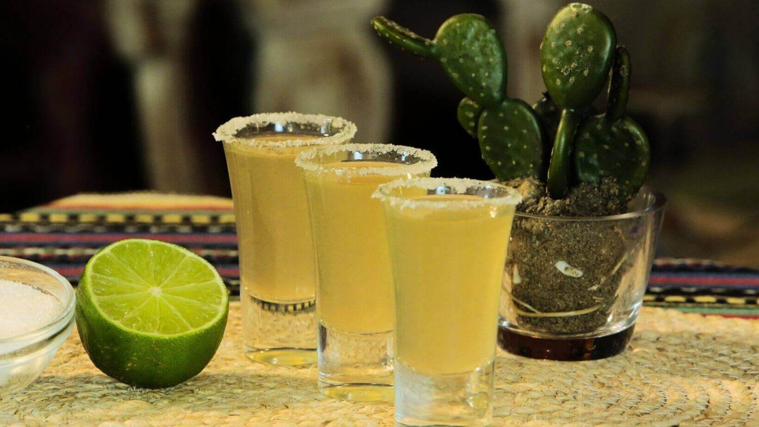Elon Musk lanza TESLA Tequila 2020, se agota y vende ahora las botellas ...