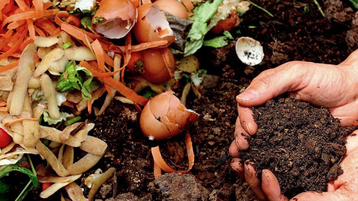 ¿Qué es compostable y qué requiere un producto compostable para ...