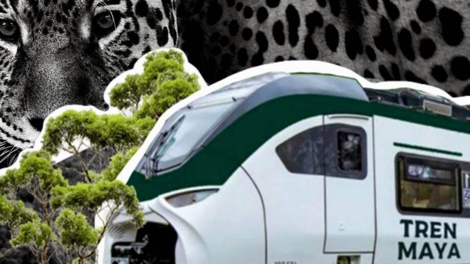 EcoTag Televía 20% descuento en autopistas, un incentivo para los autos ...