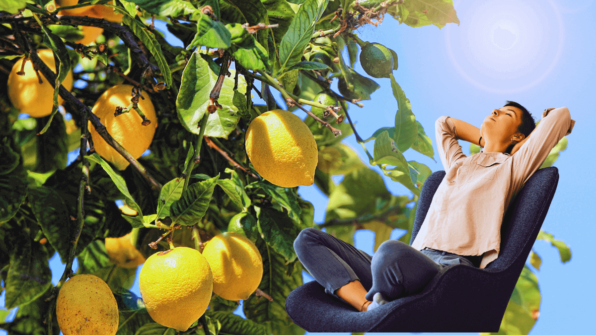 BIENESTAR A LA CARTA: Desarrollo de resiliencia para mejorar el rendimiento al 2030 » Sé ...